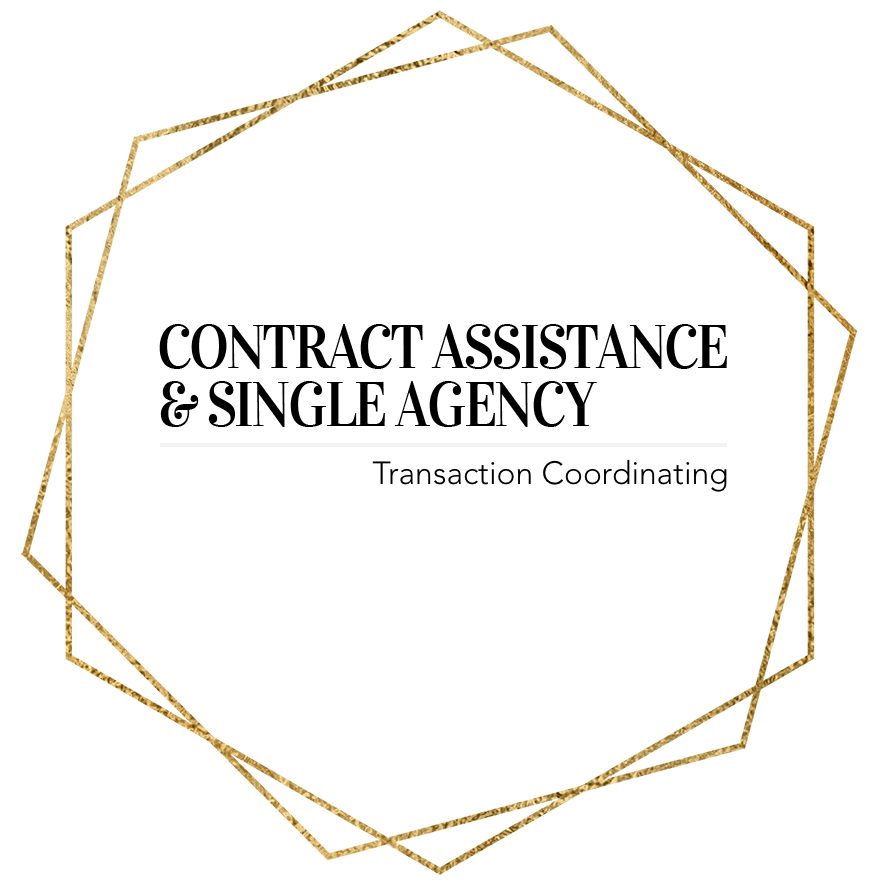 Contract Assistance & Single Agency – Hayley Dawn